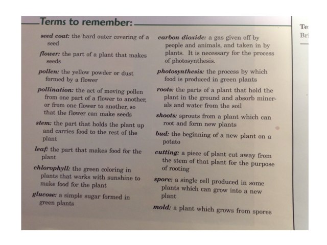 Chapter 2 Vocabulary Practice Free Activities online for kids in 3rd ...