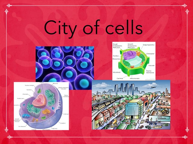 City Of Cells Free Games online for kids in Nursery by H1 TAMC
