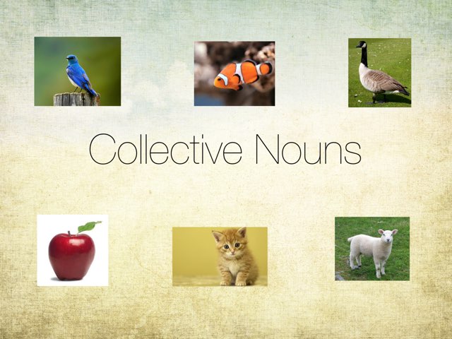 Collective Nouns 2nd Grade