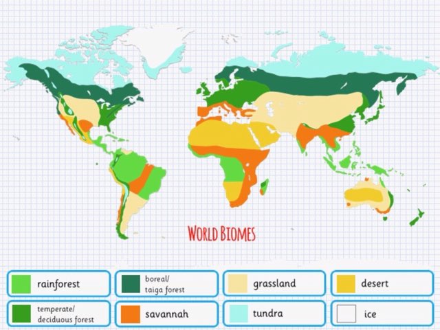 Fearnes Biomes Free Games online for kids in Nursery by RGS Springfield