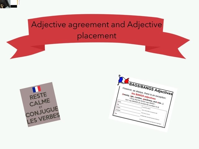 Adjective Agreement And Adjective Placement Free Games online for kids ...