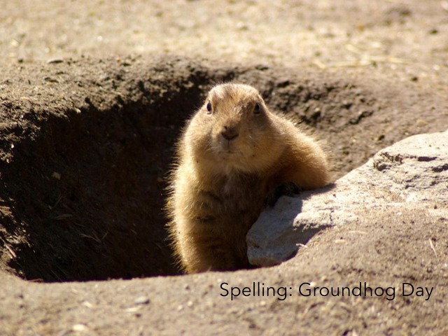 Spelling: Groundhog Day Free Activities online for kids in 2nd grade by ...