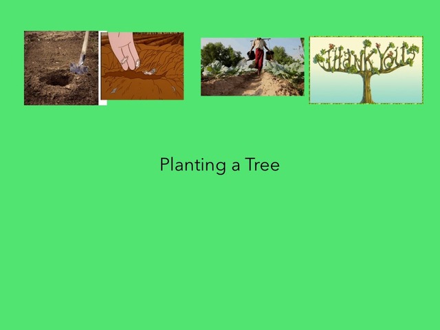 Planting A Tree Free Games online for kids in Pre-K by Charlotte Mitchell