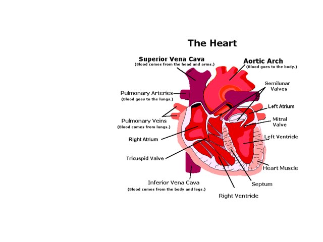 Sample Heart Puzzle Free Activities online for kids in 4th grade by ...