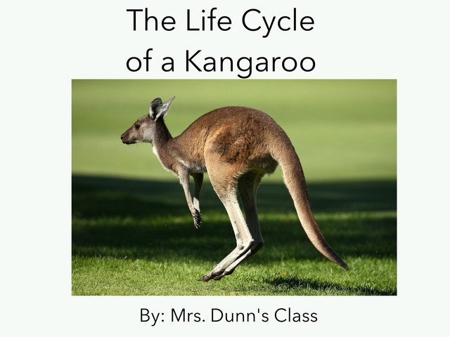 The life cycle Of A Kangaroo- Dunn Free Activities online for kids in ...