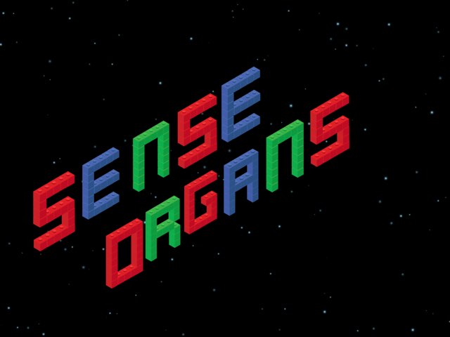 Sense Organs Free Games online for kids in Nursery by Daniela Santana
