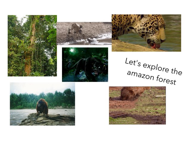 Wildlife Free Activities online for kids in 3rd grade by Amir Sims