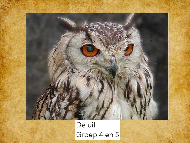 De Uil Gratis online spellen voor kinderen in groep 4 door Wieke Jasper