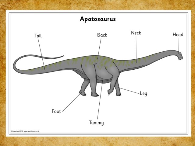 Dinosaur Labelling | Online Activities | Language Studies (Native ...