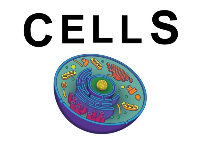 Cells Free Activities online for kids in Kindergarten by Chenhao Ma