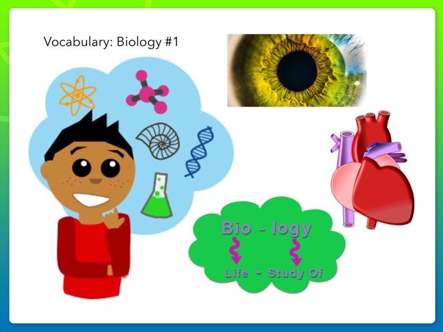 Vocabulary: Biology #1 Free Activities online for kids in 6th grade by ...
