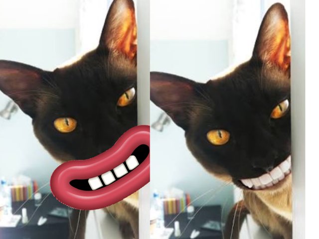 Cool Creppy Cat Free Activities online for kids in 2nd grade by Catlin ...