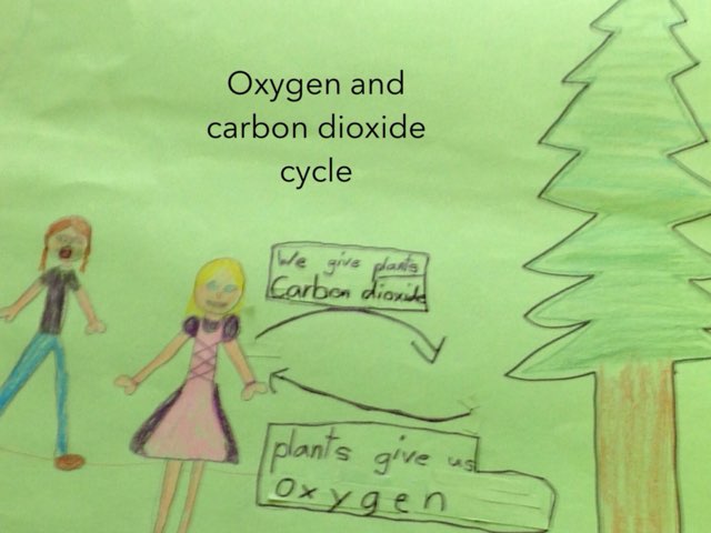 Show The carbon Cycle Free Activities online for kids in 1st grade by ...