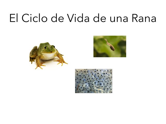 El Ciclo De Vida De Una Rana Juegos online gratis para niños en la ...