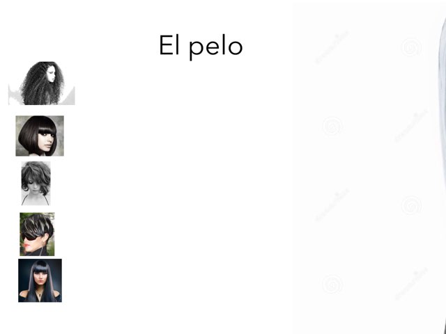 El pelo. (spelling). Juegos online gratis para niños en tercero de ...