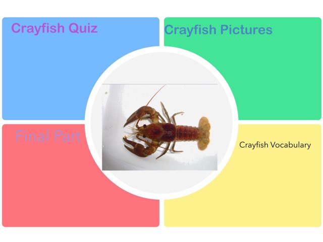 Ella's Crayfish Learning Free Activities online for kids in 3rd grade ...