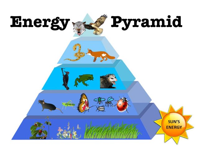 Energy Pyramid DPISD Free Games Online For Kids In Nursery By Rachelle 