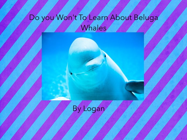 Beluga Whale By Logan Free Activities online for kids in Kindergarten ...