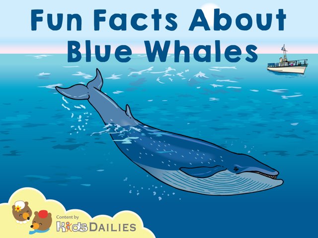 Play Fun Facts About Blue Whales By Kids Dailies On TinyTap Play Fun Facts About Blue Whales By Kids Dailies On TinyTap