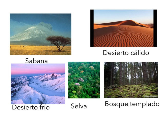 Puzzle De Los Ecosistemas Juegos online gratis para niños en la ...