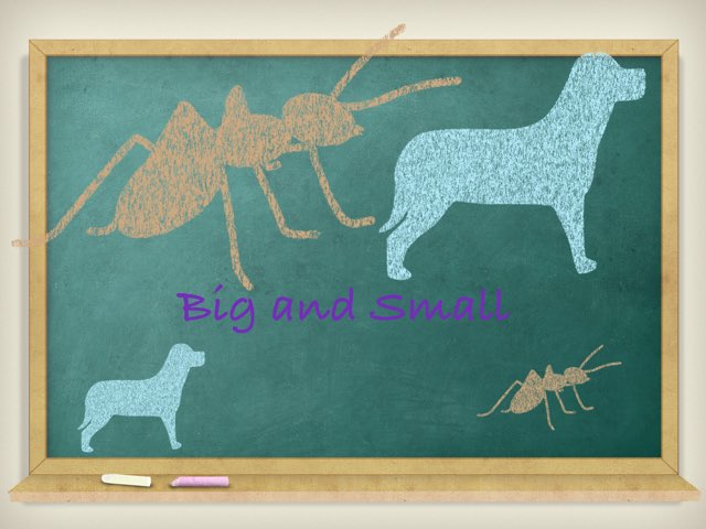 Big & Small Free Games | Activities | Puzzles | Online for kids ...