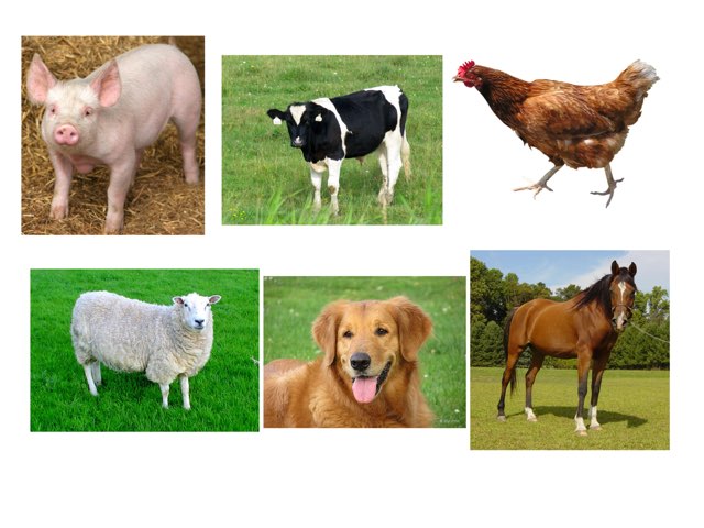 Farm Animal Guess Free Games online for kids in Nursery by Quinn