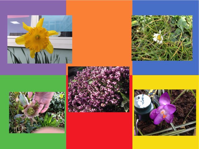 Fernvale Plant Game Free Games online for kids in Pre-K by Fernvale ...