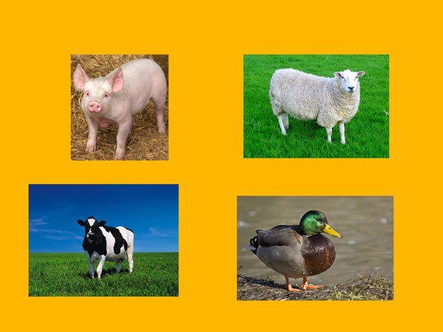 Find the animals Free Games online for kids in Nursery by Kate Gillespie