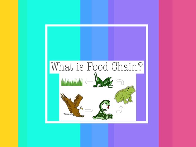 Food Chain Free Activities online for kids in 1st grade by Puteri Eerdyna