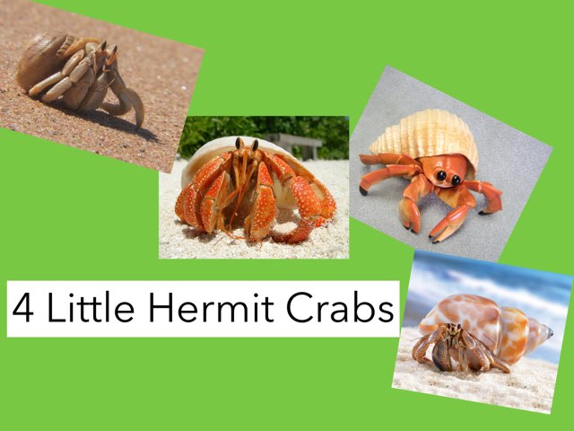 Four little Hermit Crabs Free Games | Activities | Puzzles | Online for ...