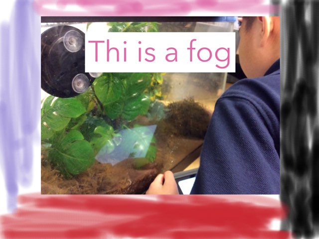 Frog J.J. Free Games online for kids in Pre-K by Sarah Bosch