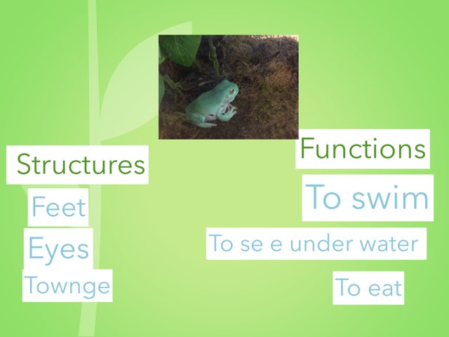 frog-structure-and-function-free-activities-online-for-kids-in-3rd