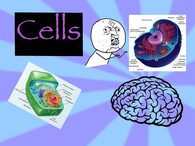 Conner Cells Free Games online for kids in Nursery by hx5 come