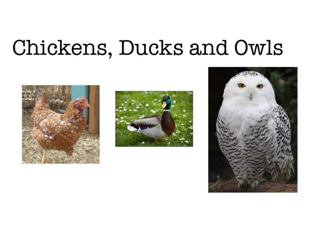 Listening game for animal sounds Free Games online for kids in Nursery ...