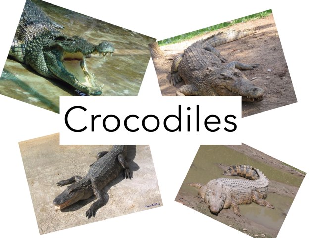 Croc Free Games online for kids in Nursery by Leanne Walker