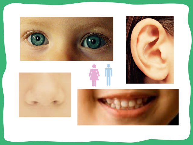 Face Free Games online for kids in Nursery by Opal Class