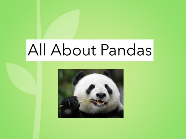 All about pandas Free Games online for kids in Nursery by Bretta loeffler