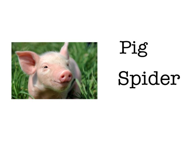 Animal vocabulary "pig" for Charlotte's Web Free Games online for kids ...