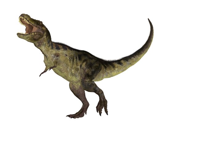 Where is your nose Free Games online for kids in Nursery by Rachel Dakin