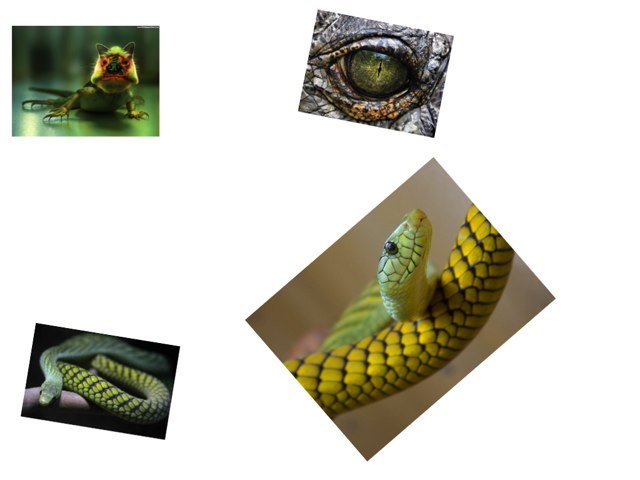 Connor Free Games online for kids in Nursery by Laura Wheeler