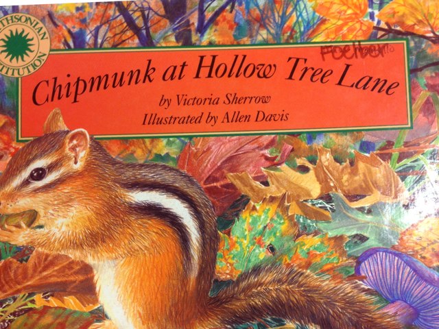 Chipmunk Free Games online for kids in Nursery by Francesca Foelber