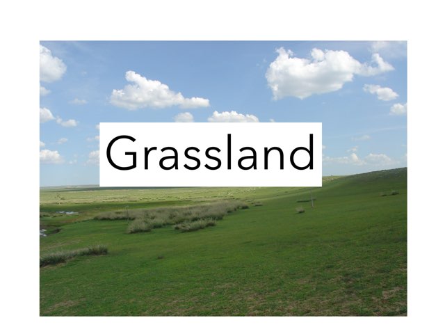 Grassland Th Free Activities online for kids in 4th grade by Sarah Bosch