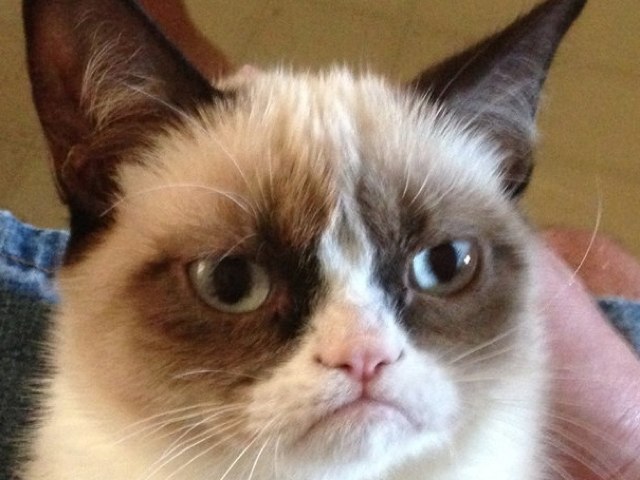 Grumpy Cat Free Games online for kids in Nursery by Lior Goldenberg