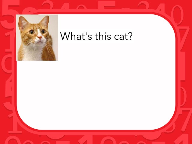 Guess The Cat Free Games online for kids in Pre-K by Resqu Games