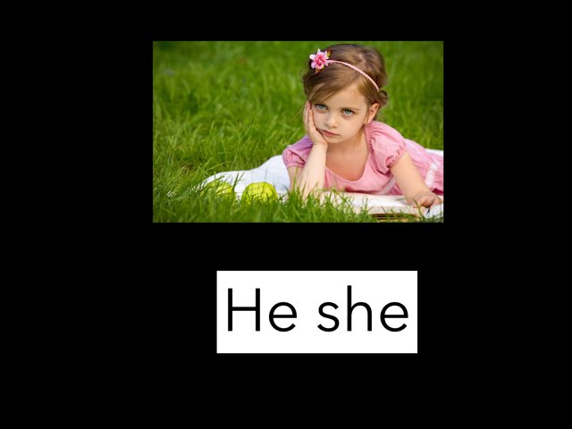 He Or She Free Activities online for kids in Kindergarten by Xavia smith