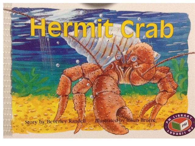 Hermit Crab | Online Activities | Language Studies (Native) | Free ...