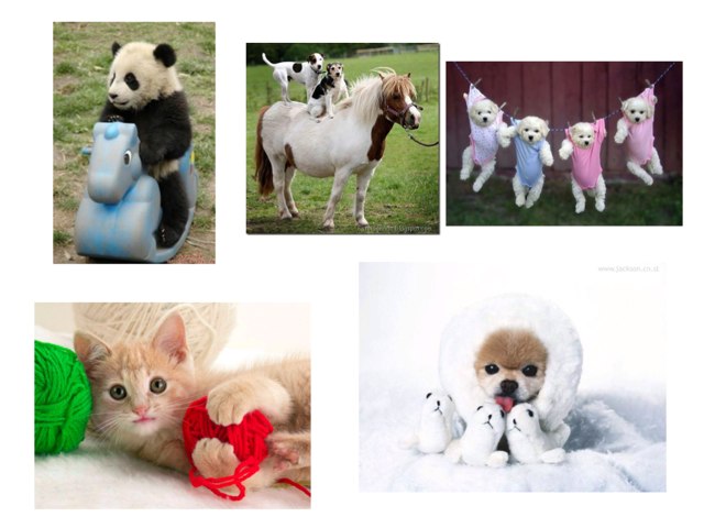 Inglish Animals Free Activities online for kids in Kindergarten by ...