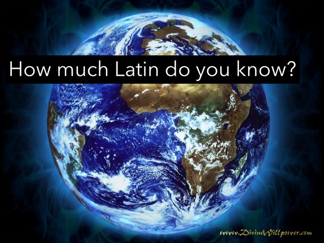 Latin Quiz 1 Free Activities online for kids in 4th grade by Fiona Crean