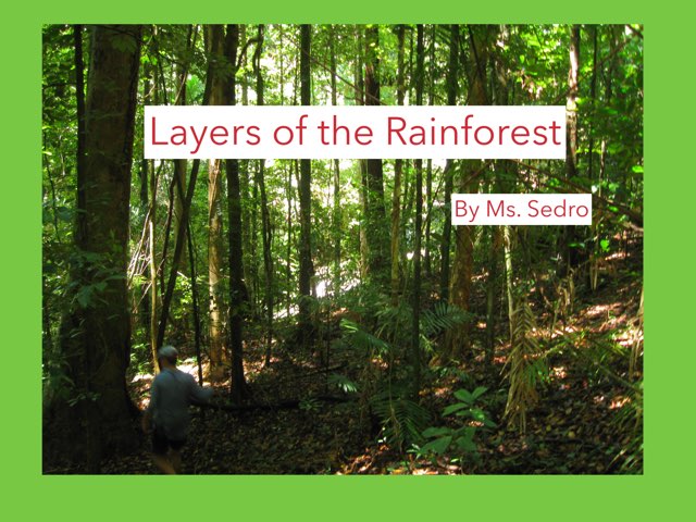 Layers Of The Rainforest Free Activities online for kids in 4th grade ...