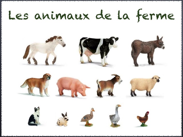 Les animaux de la ferme Florence Latour